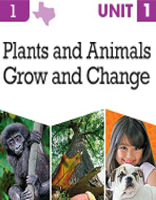 IXL skill plan | 1st grade plan for Benchmark Reader's Workshop and ...