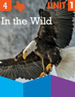 IXL skill plan | 4th grade plan for Benchmark Reader's Workshop and ...