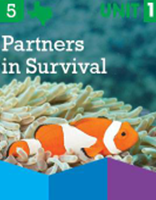 IXL skill plan | 5th grade plan for Benchmark Reader's Workshop and ...