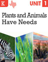 IXL skill plan | Kindergarten plan for Benchmark Reader's Workshop and ...