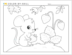 IXL – Printables
