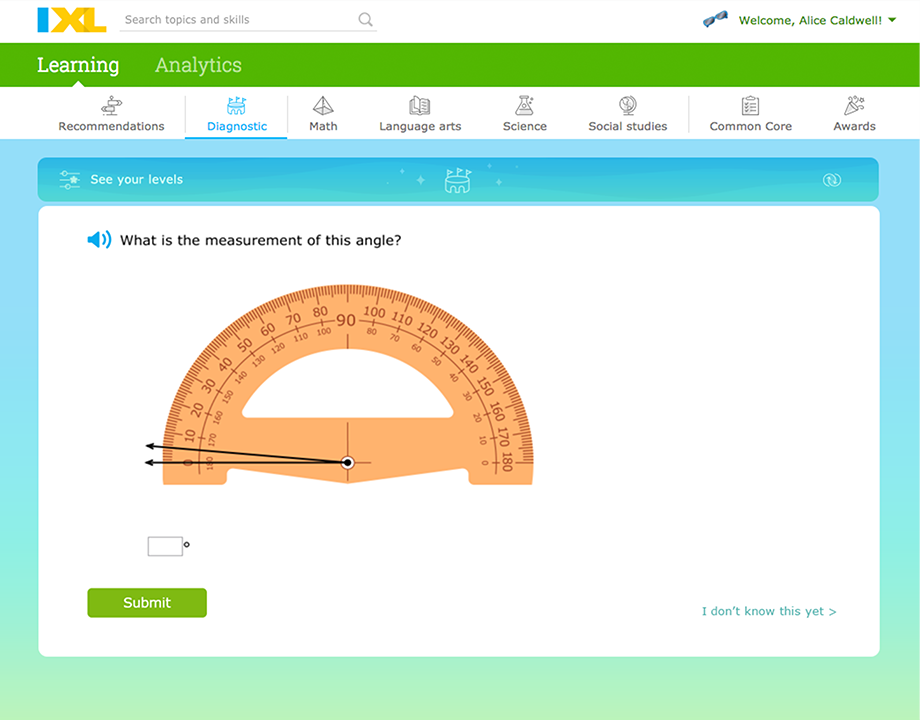 The IXL Real-Time Diagnostic