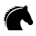 IXL - Black Horse Pike Regional School District