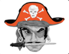 IXL - Stone Mountain High School