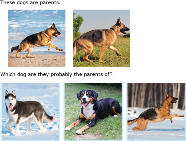 IXL | Match animals to their parents | 1st grade science