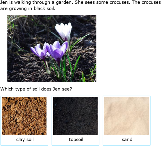 IXL | Types of soils | 1st grade science
