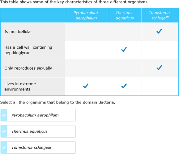 IXL - Classify and describe organisms using domains (Biology practice)