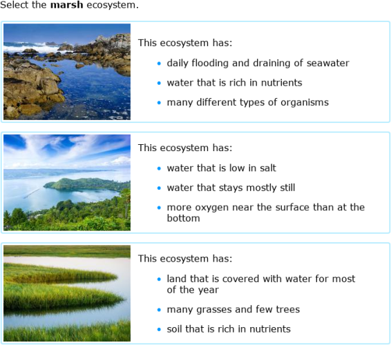 IXL | Identify aquatic ecosystems | 8th grade science