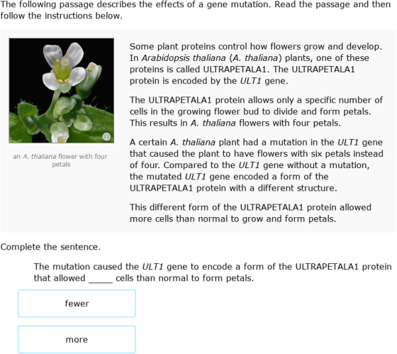 IXL | Describe the effects of gene mutations on organisms | 6th grade ...