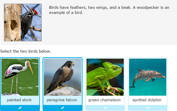 IXL - Identify mammals, birds, fish, reptiles, and amphibians (3rd ...