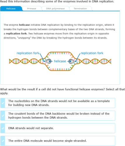 IXL - DNA replication (Biology practice)