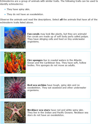 IXL | Use evidence to classify animals | 5th grade science