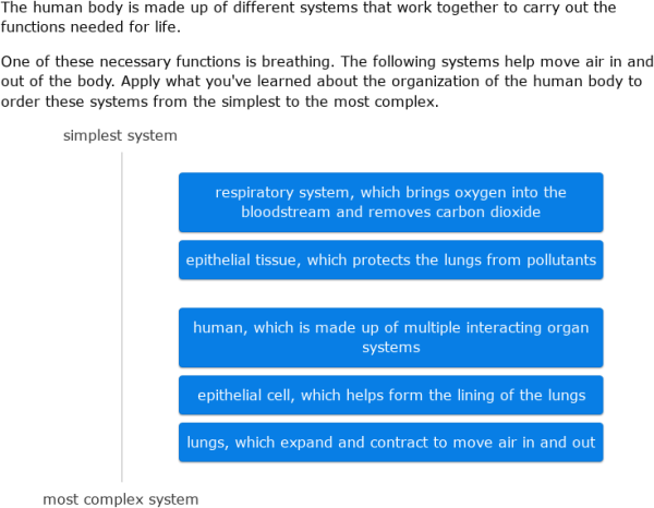 IXL | Organization in the human body | 7th grade science