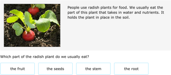 IXL | Classify fruits and vegetables as plant parts | 4th grade science