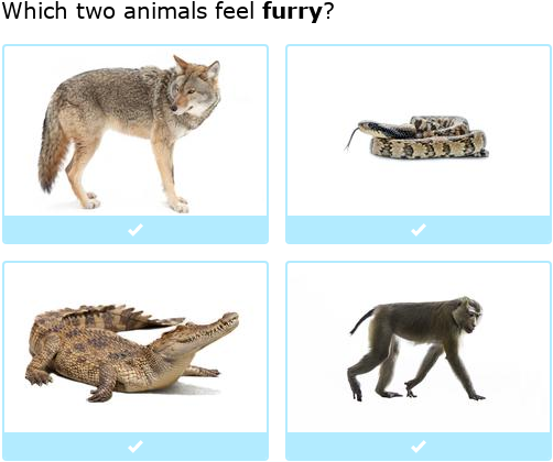 IXL | Classify objects by texture | 1st grade science