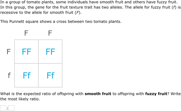 IXL | Use Punnett squares to calculate ratios of offspring types | 6th ...