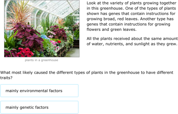 IXL | How do genes and the environment affect plant growth? | 7th grade ...