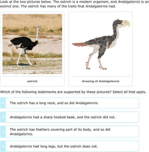 IXL | Compare ancient and modern organisms: use observations to support ...