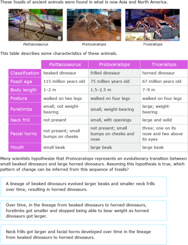 IXL - Evaluate fossil evidence of evolution (Biology practice)