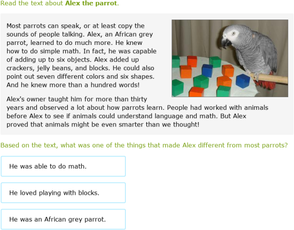 IXL | Read about animals | 3rd grade language arts