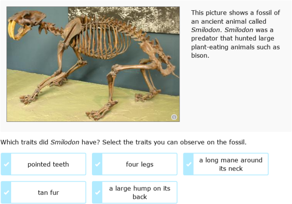 IXL | Compare fossils to modern organisms | 6th grade science