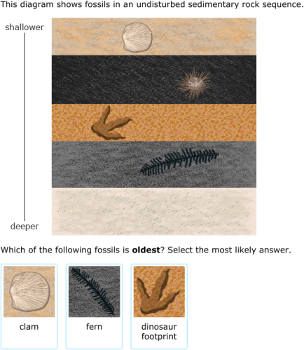 IXL | Compare ages of fossils in a rock sequence | 7th grade science