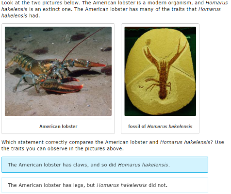 IXL - Compare ancient and modern organisms: use observations to support ...