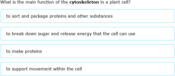 IXL - Identify functions of plant cell parts (Biology practice)