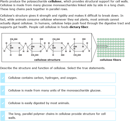 IXL - Structure and function: carbohydrates (Biology practice)