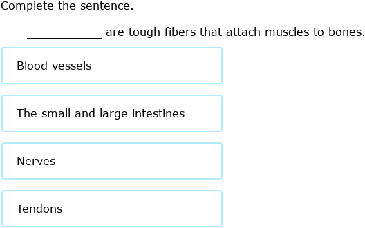 IXL | Body systems: perception and motion | 8th grade science