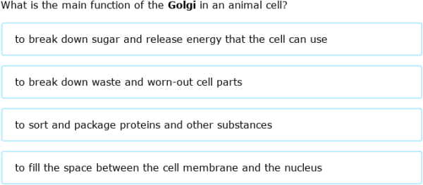 IXL | Identify functions of animal cell parts | 8th grade science