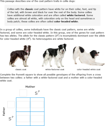 IXL - Punnett squares: incomplete dominance and codominance (Biology ...