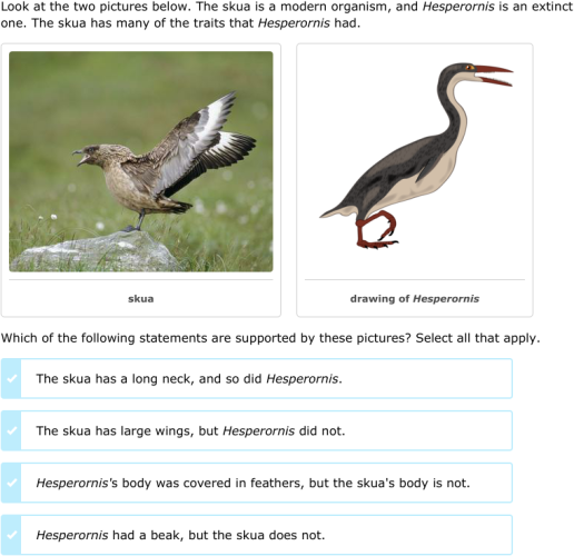 IXL | Compare ancient and modern organisms: use observations to support ...