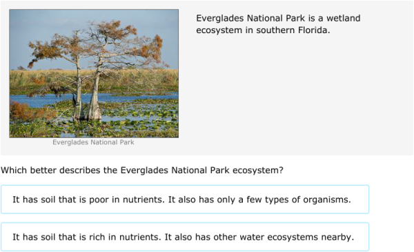 IXL | Describe ecosystems | 4th grade science