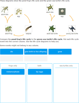 IXL - Compare different animals' life cycles (3rd grade science practice)
