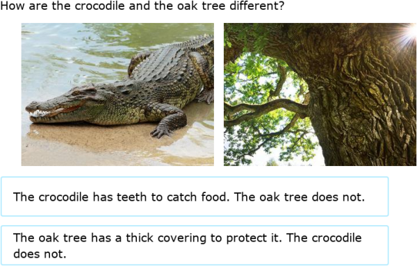 IXL | Compare plants and animals | 1st grade science