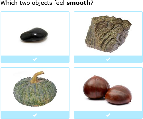 IXL | Classify objects by texture | Kindergarten science