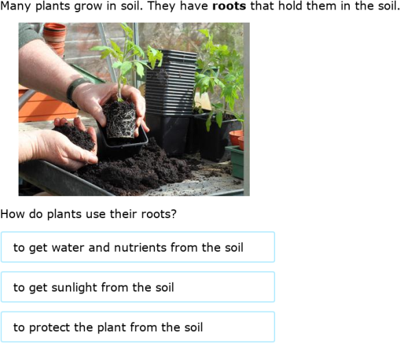 IXL | Earth materials: water, rocks, and soil | Kindergarten science