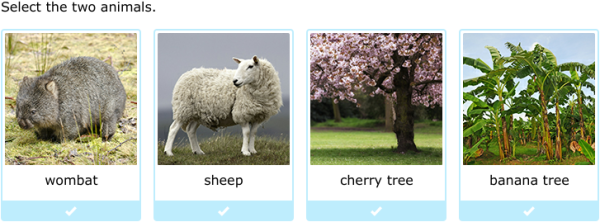 IXL | Identify plants and animals | 2nd grade science