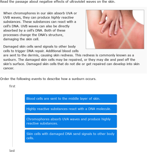 IXL | Effects of ultraviolet waves | 6th grade science