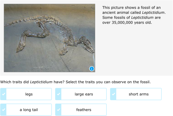 IXL | Compare fossils to modern organisms | 5th grade science