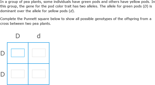 Punnett Squares Worksheets