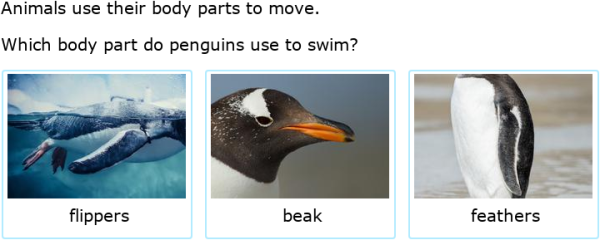 IXL | How do animals use their body parts? | 1st grade science