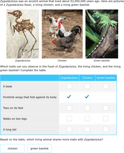 IXL | Compare fossils to modern organisms | 7th grade science