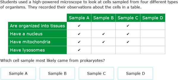 IXL - Compare cell types by their structures (Biology practice)