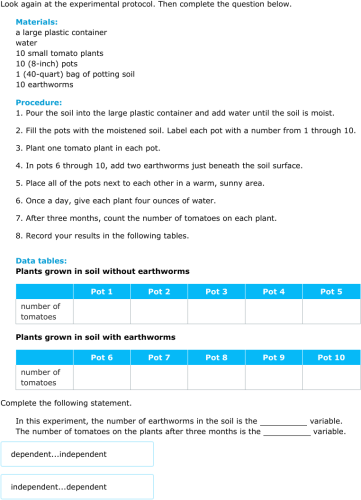 IXL | Understand an experimental protocol about plant growth | 8th ...