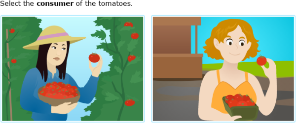 IXL | Producers and consumers | 2nd grade social studies