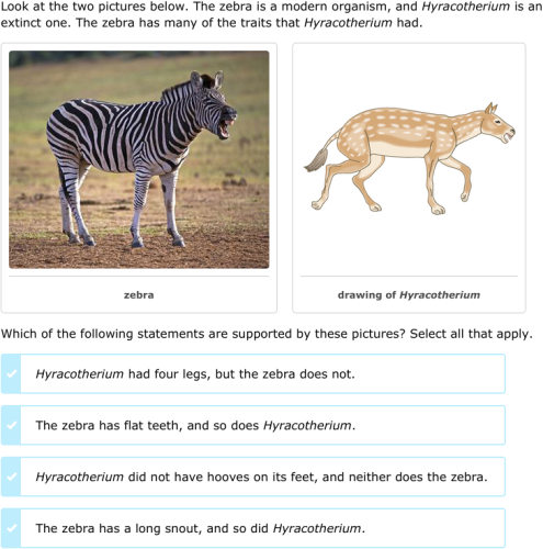 IXL | Compare ancient and modern organisms: use observations to support ...