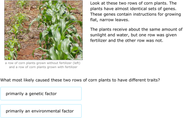 IXL | How do genes and the environment affect plant growth? | 6th grade ...