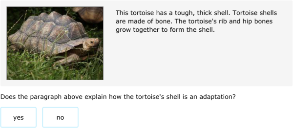 IXL | Introduction to adaptations | 3rd grade science